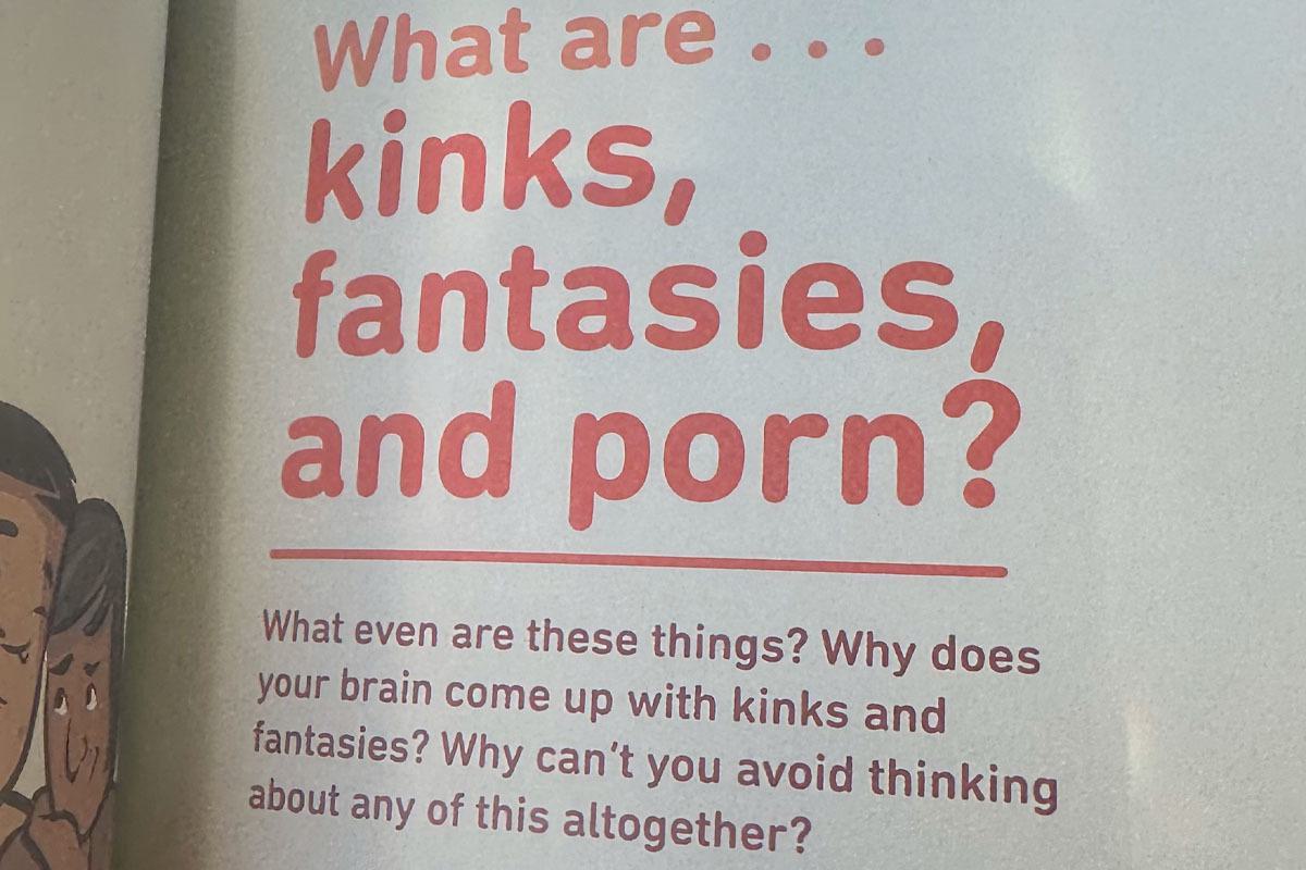 State Library System Chair Wahl Teen Sex Guide Example Of Why Spanish